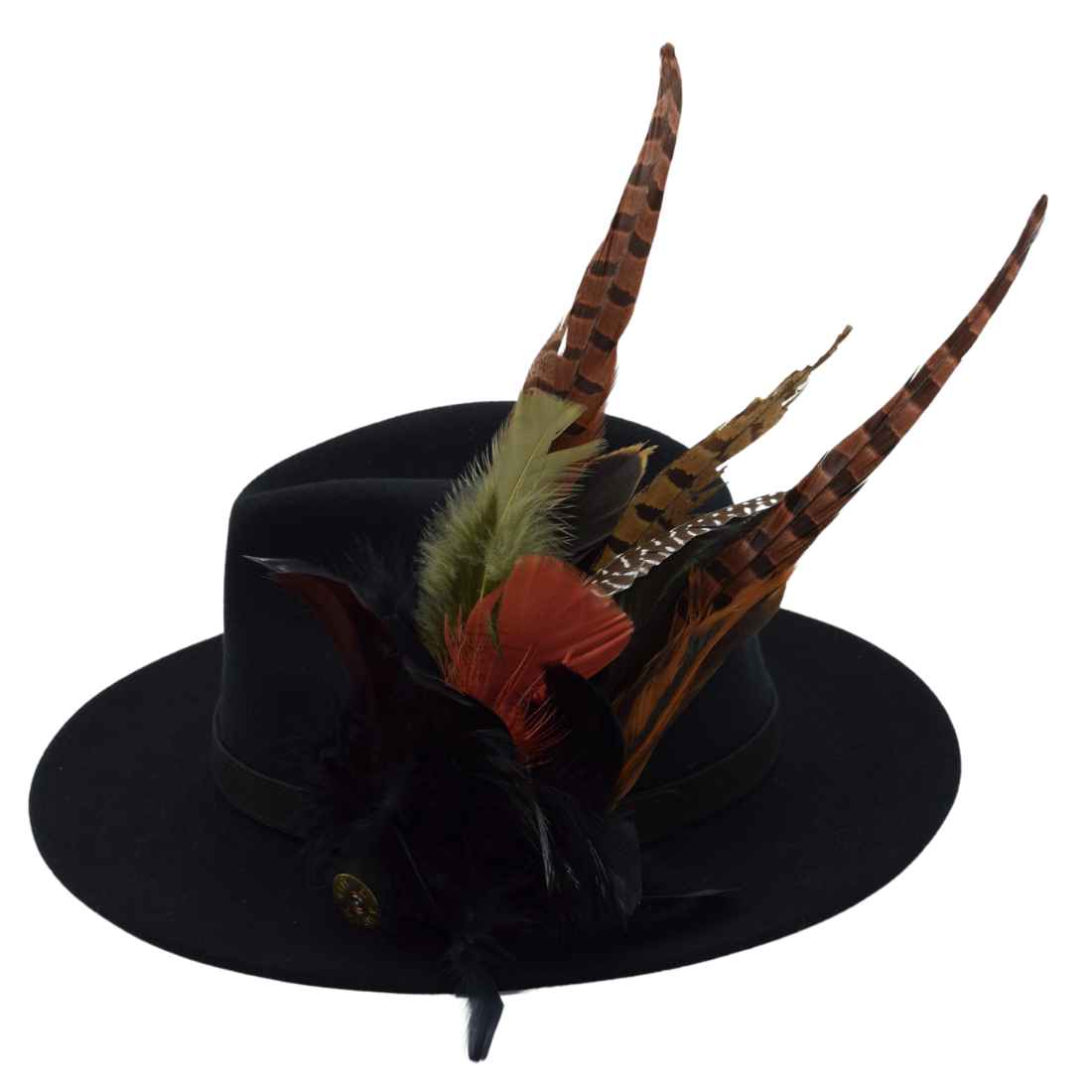 Briar Black Fedora Hat with Feathers - Grace and Dotty