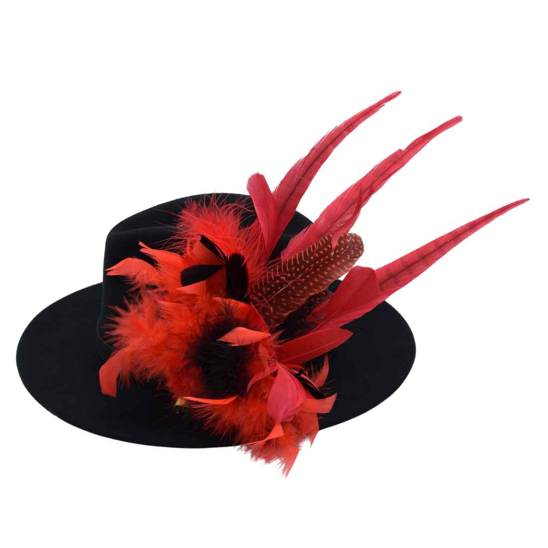 Jenna Black Fedora Hat with Feathers - Grace and Dotty